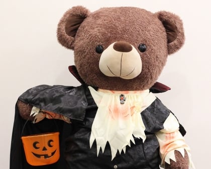 Seddy's Spooky Adventures by Seda Vertis North | TripZillaSTAYS